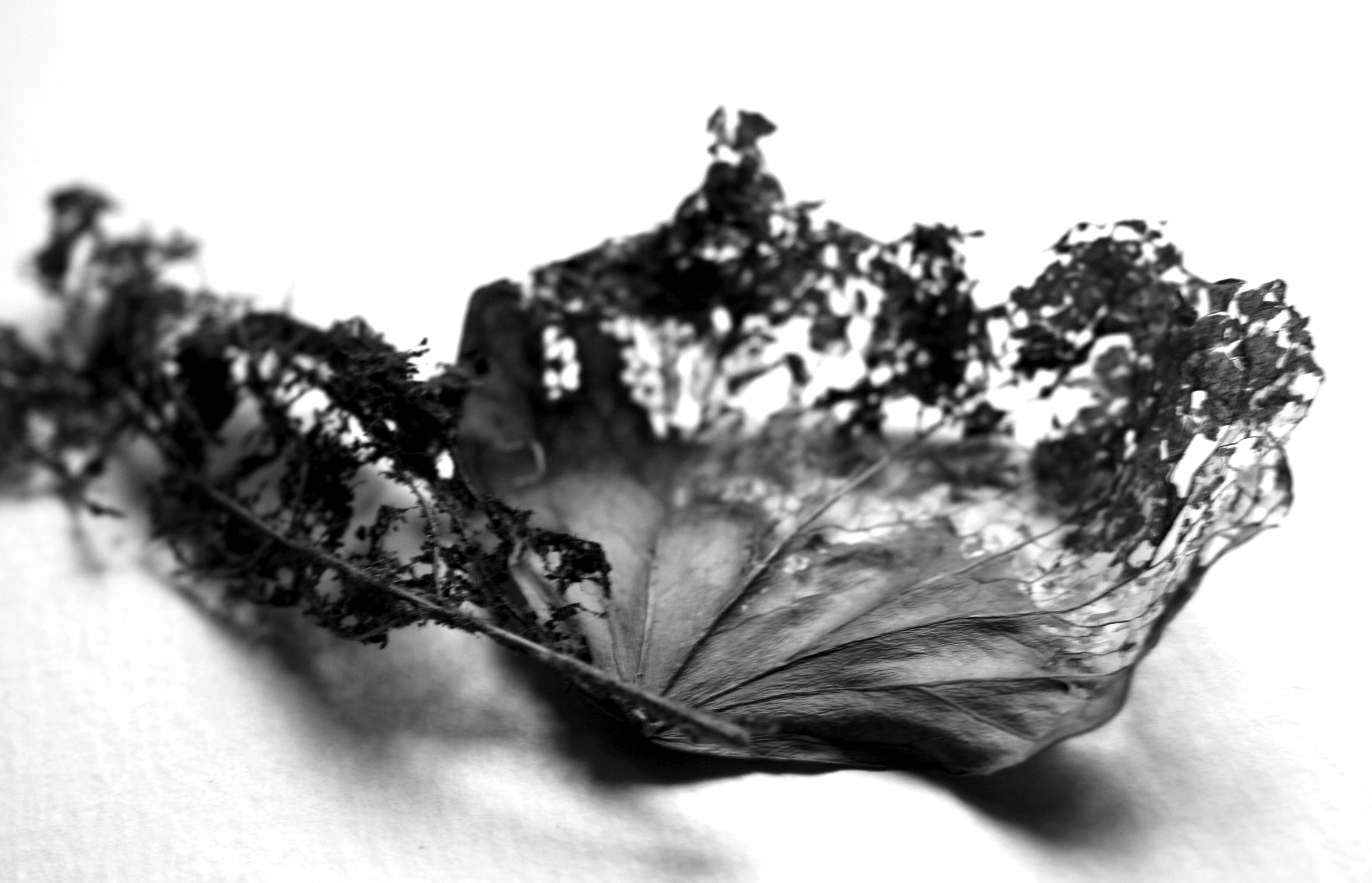 Offerings / Placements – The Land Incanted [ Earth & Memory ]